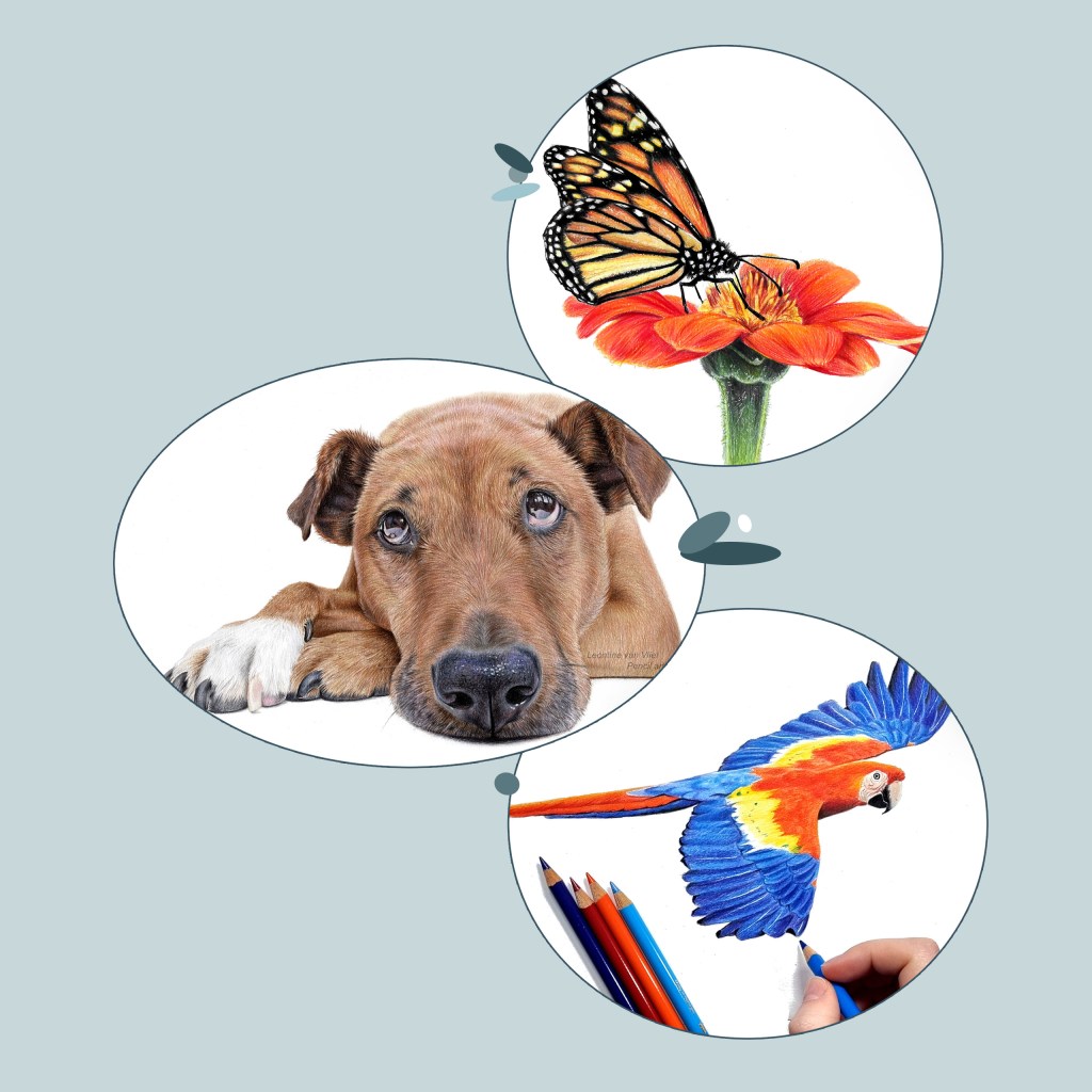 The drawing club – Leontine van Vliet Pencil artist